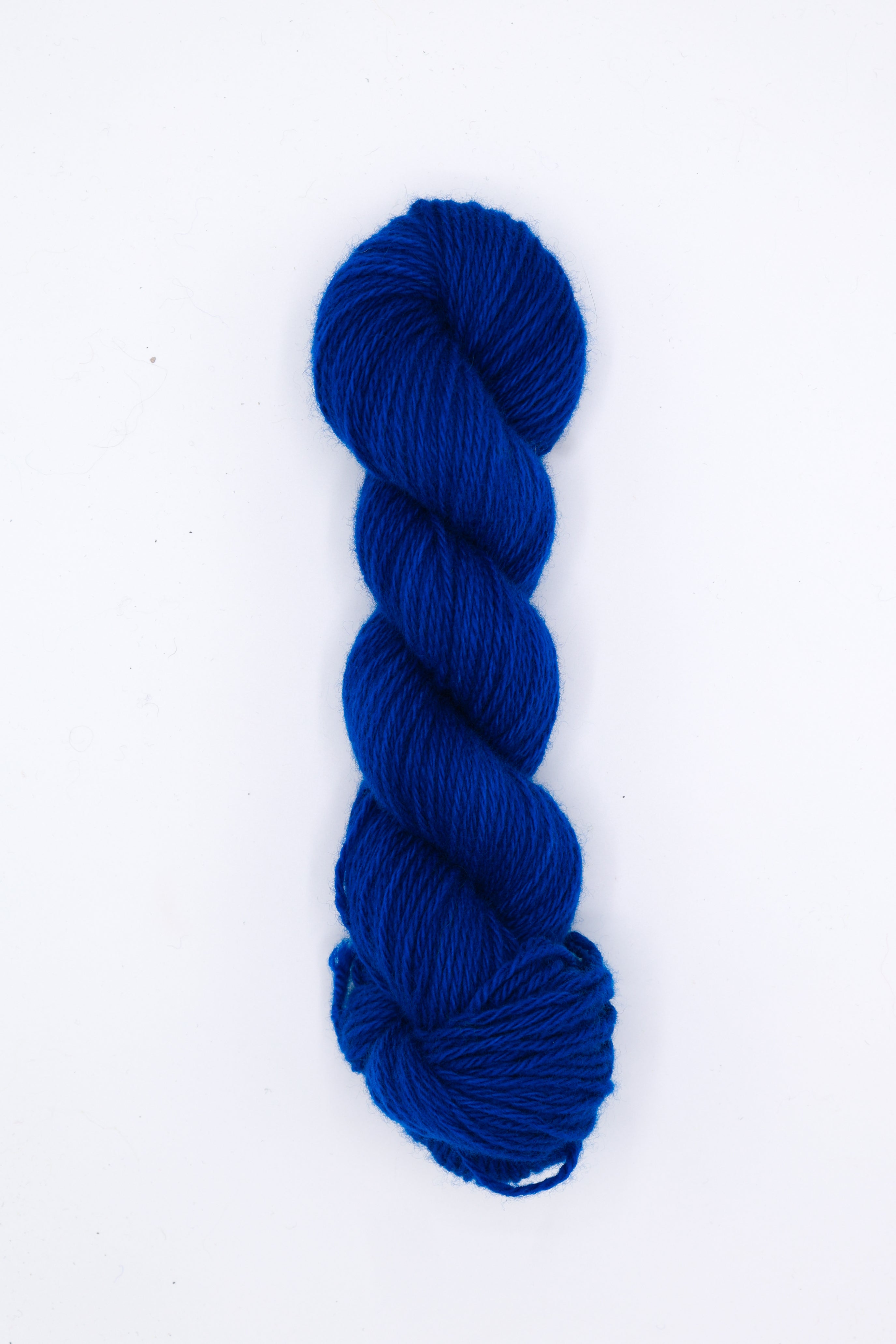 Elmer Worsted - cookie monster – The Lamb & Kid